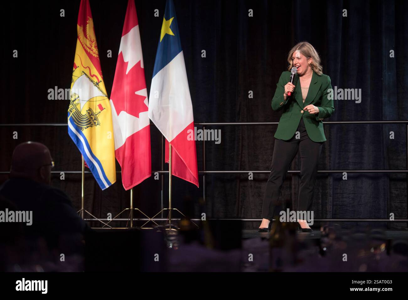 Fredericton, Canada. 30th Jan, 2025. New Brunswick Premier Susan Holt ...