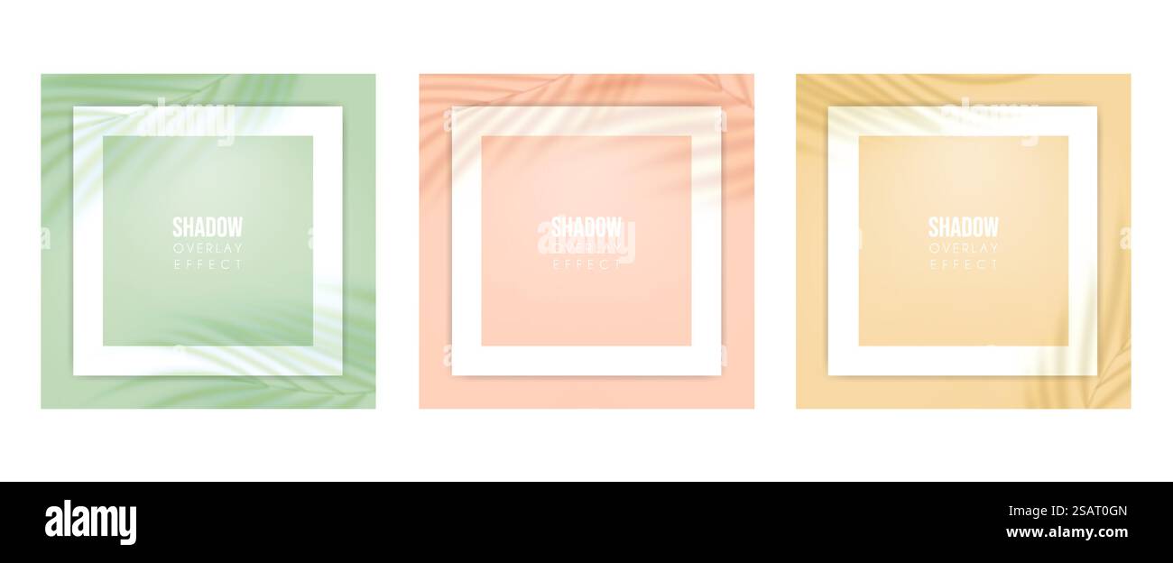 Shadow Overlay Plant Vector Mockup. Vector shadows overlay effects with ...