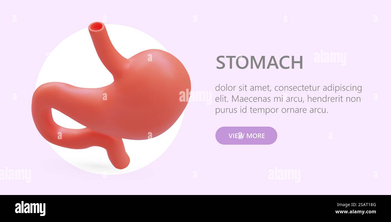 Concept with realistic stomach. Services of gastroenterologist ...