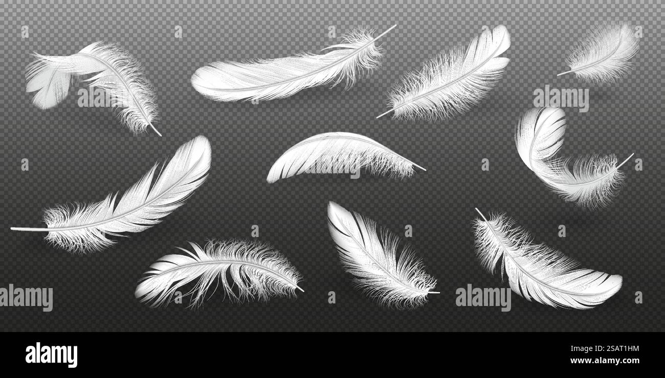Bird feathers realistic vector illustration set. Elegant white quills ...