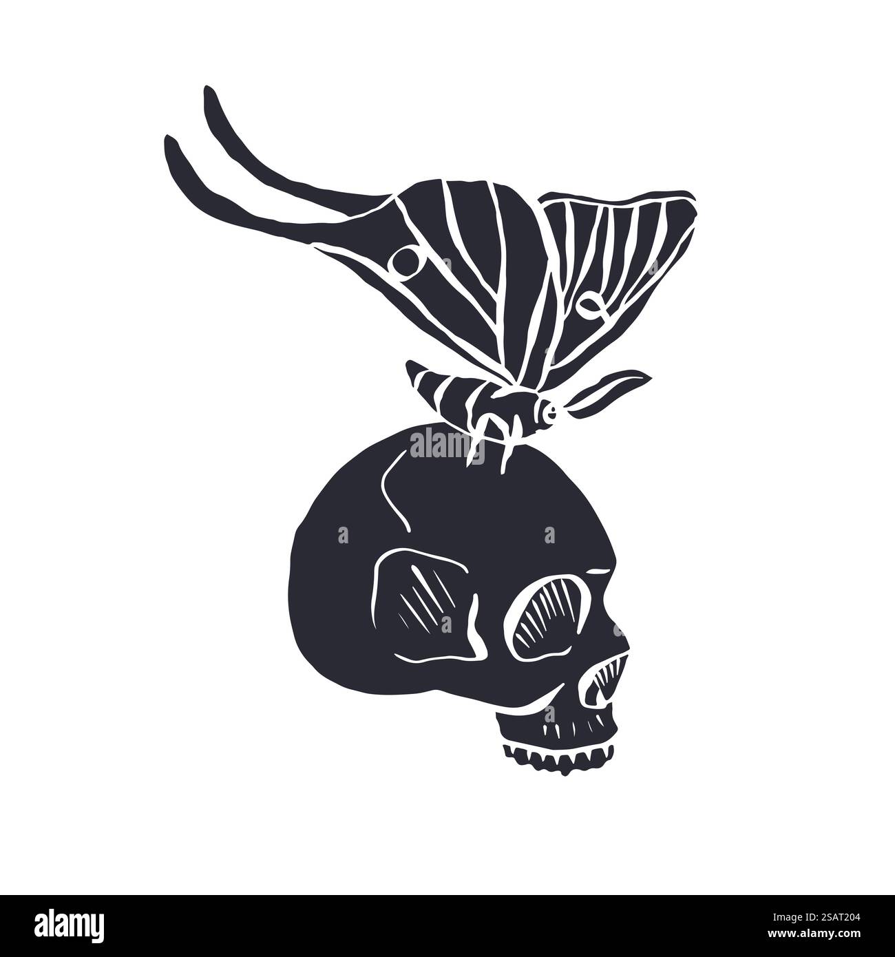 Hand drawn black silhouette of human skull with luna moth sitting on ...