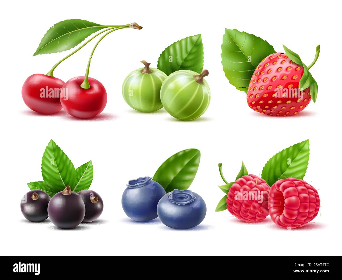 Realistic berries different seasonal berries and fruits with leaves hi ...