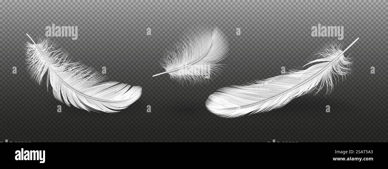 Light bird feathers group realistic vector illustration set. Flying ...