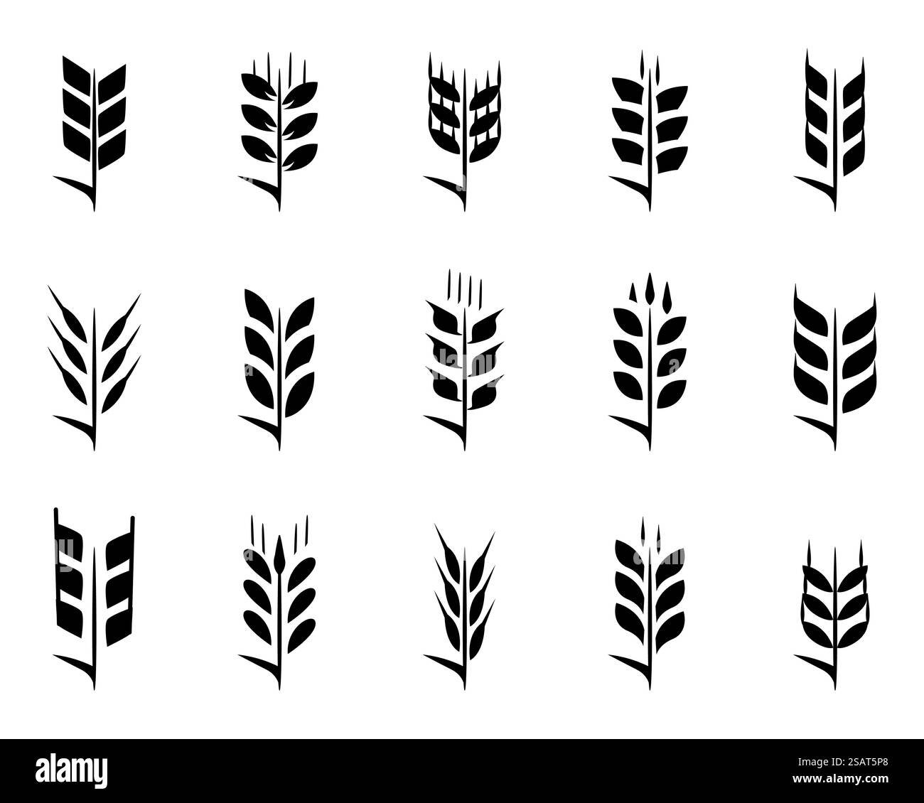 Black wheat ears icon collection. Ears of wheat bread silhouettes ...