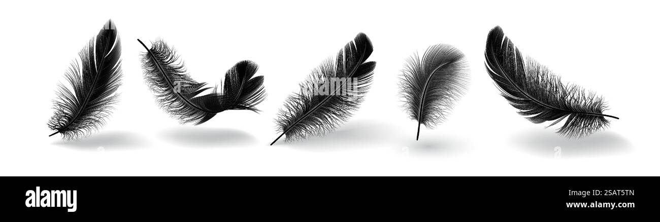 Bird feather shapes group realistic vector illustration set. Flying ...