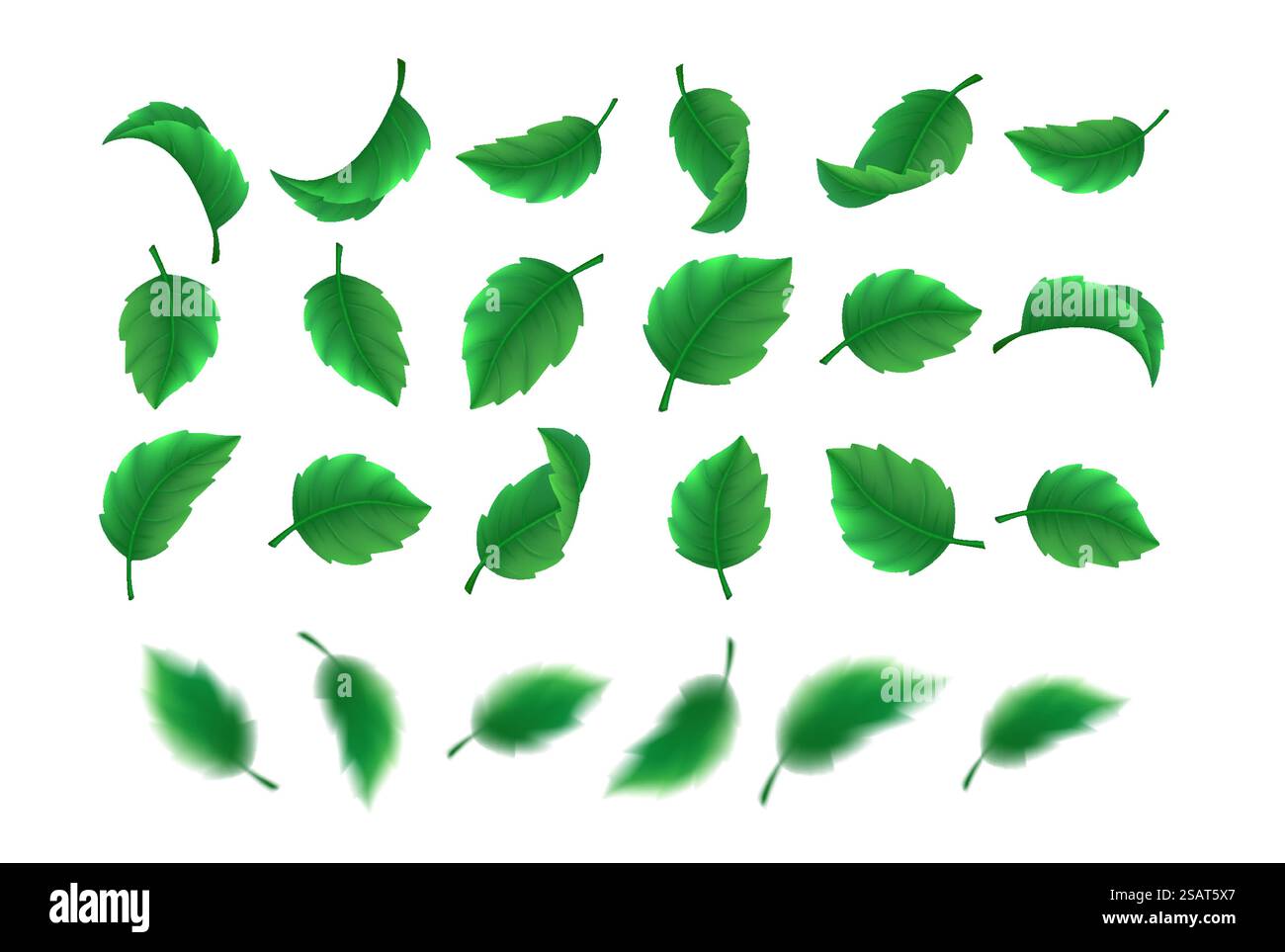 Green plant leaves realistic vector illustration collection. Fresh ...