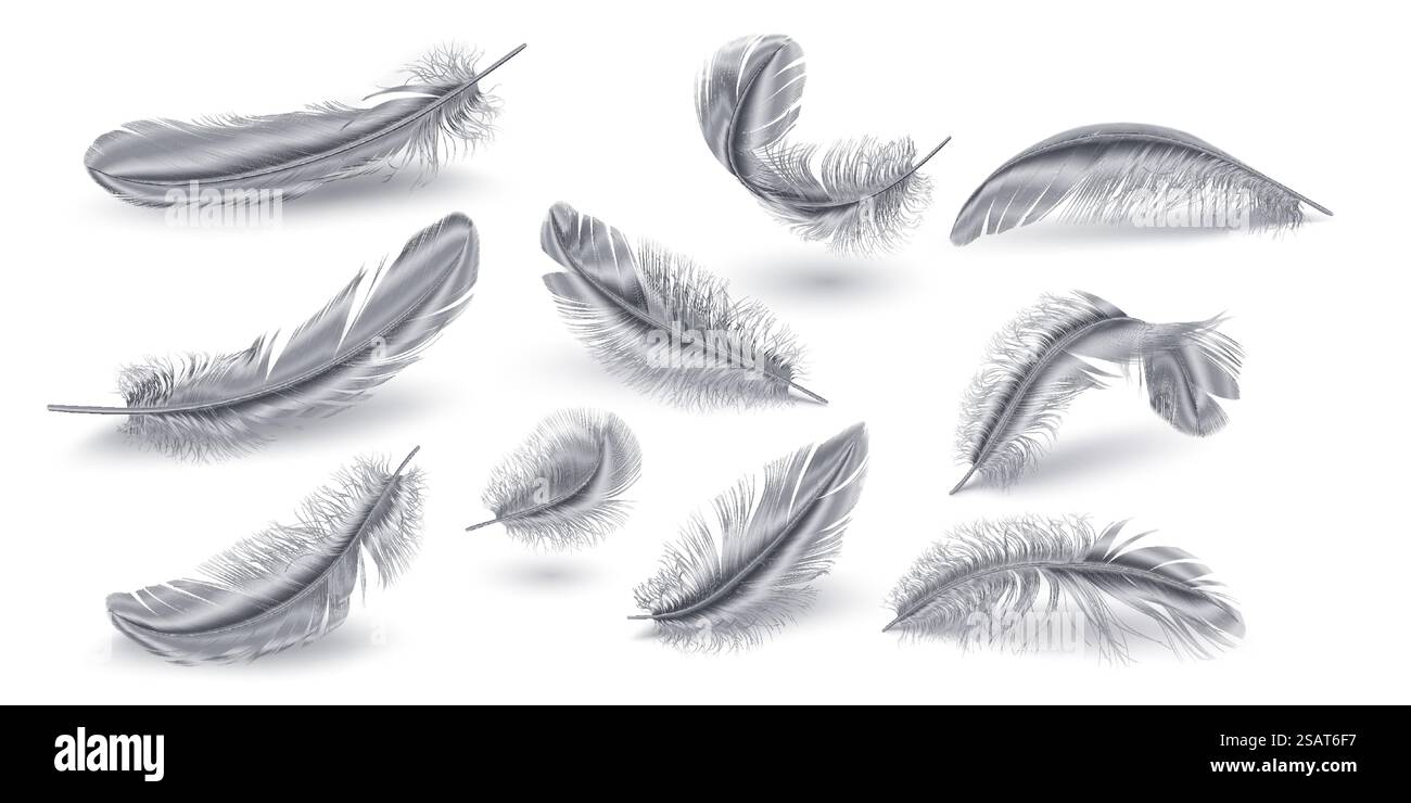 Scattered silver feathers realistic vector illustration collection ...