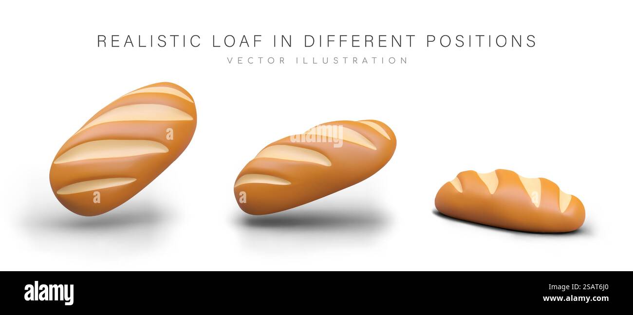 Realistic loaf in different positions. Delicious baked round and oblong ...