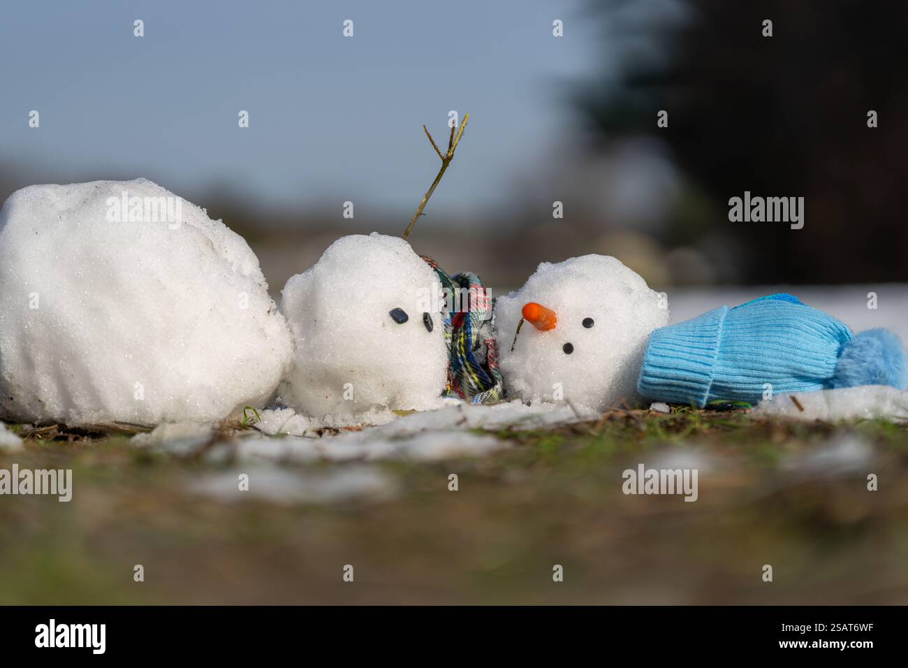 Arrival of spring. The snowman melt, stands in melted snow, ice and ...