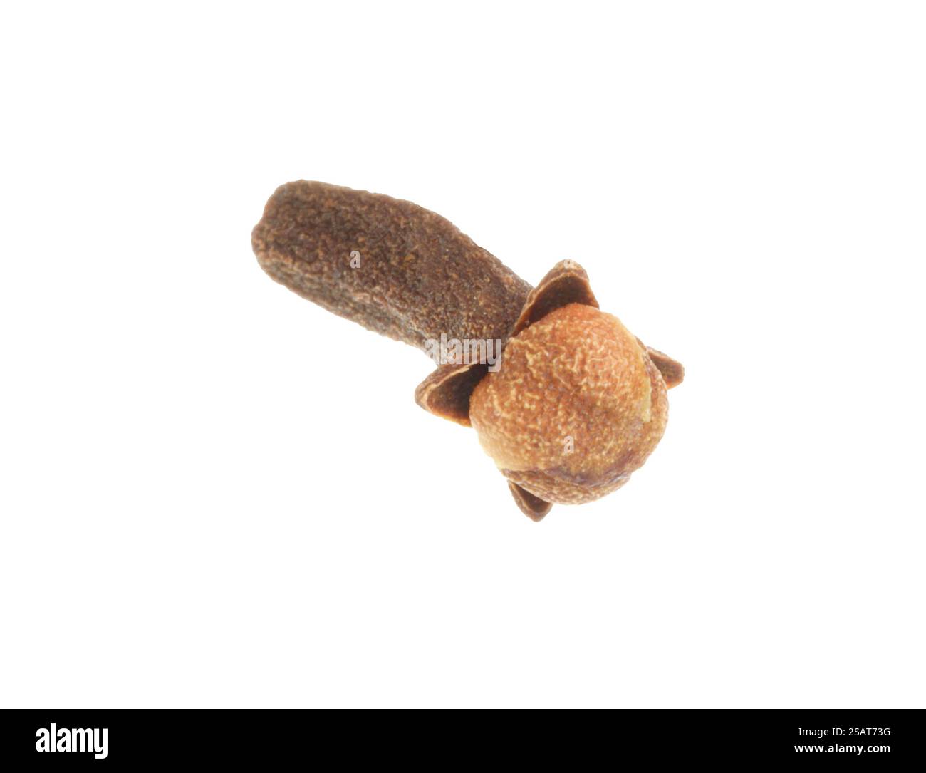 One dry clove bud isolated on white. Aromatic spice Stock Photo - Alamy