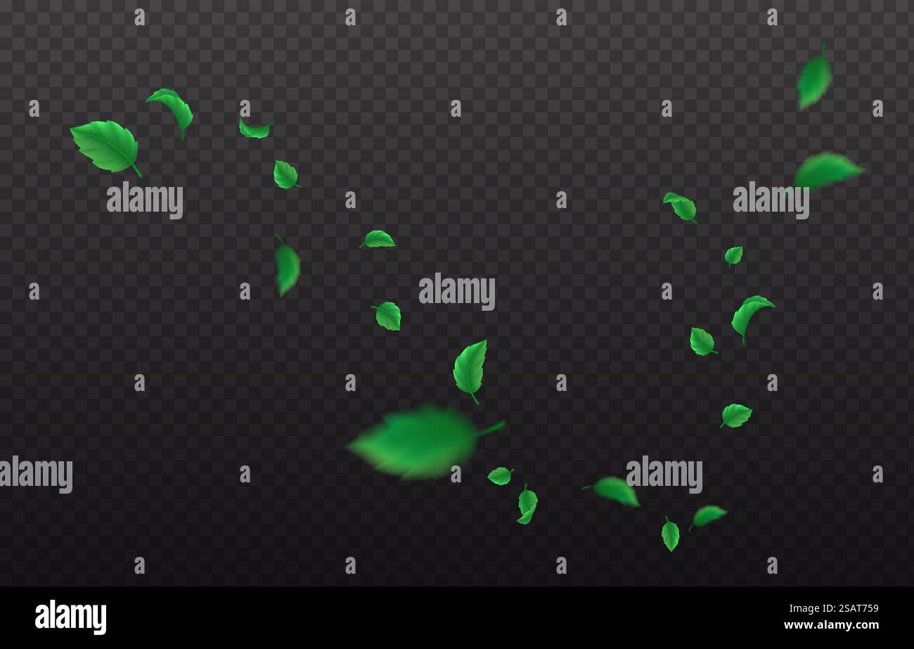 Fresh spring leaves flow realistic vector illustration. Lush floating ...
