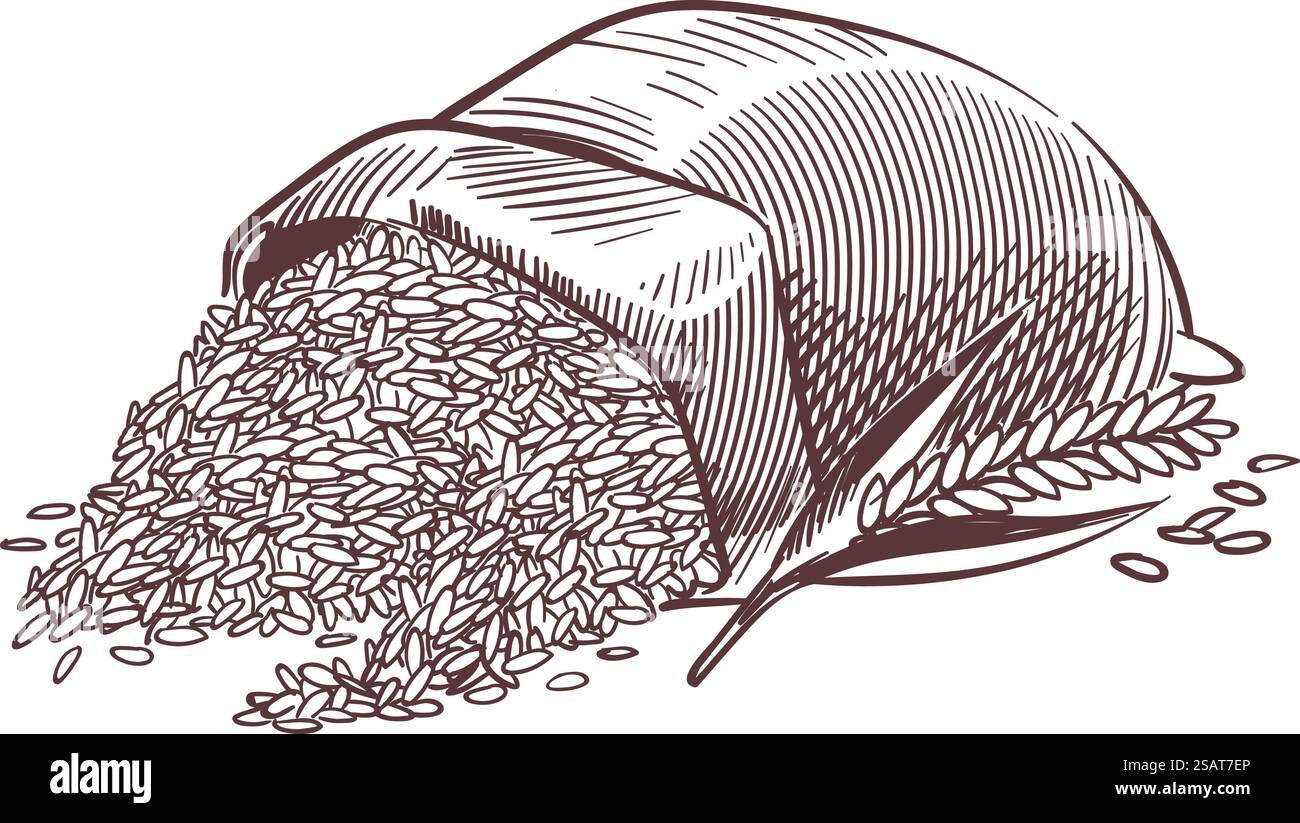 Full sack of grain engraving. Rice bag sketch isolated on white ...