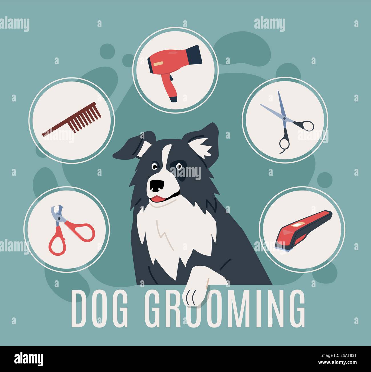 Pet grooming poster. Advertising banner with cute long haired dog ...