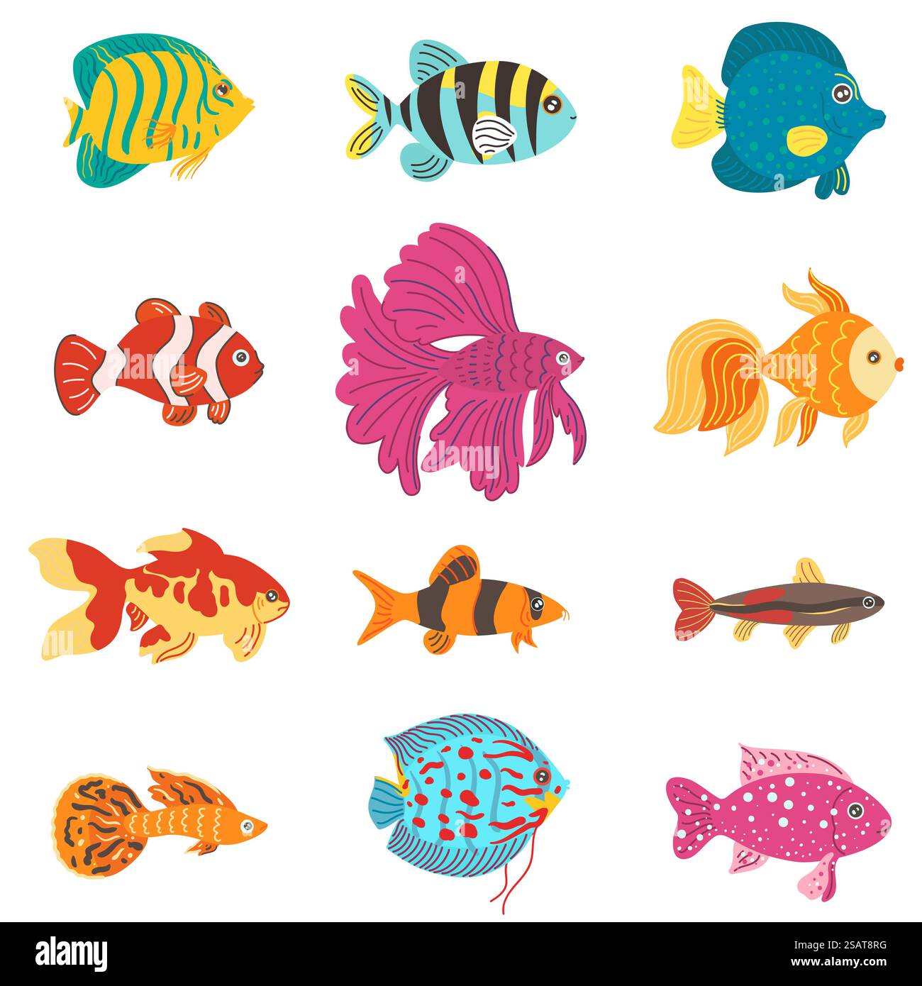 Aquarium fish. Different breeds color decorative fishes, home hobby ...