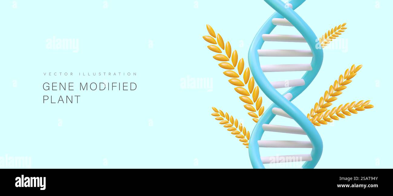 Genetically modified plant. 3D spikelet and DNA double helix ...