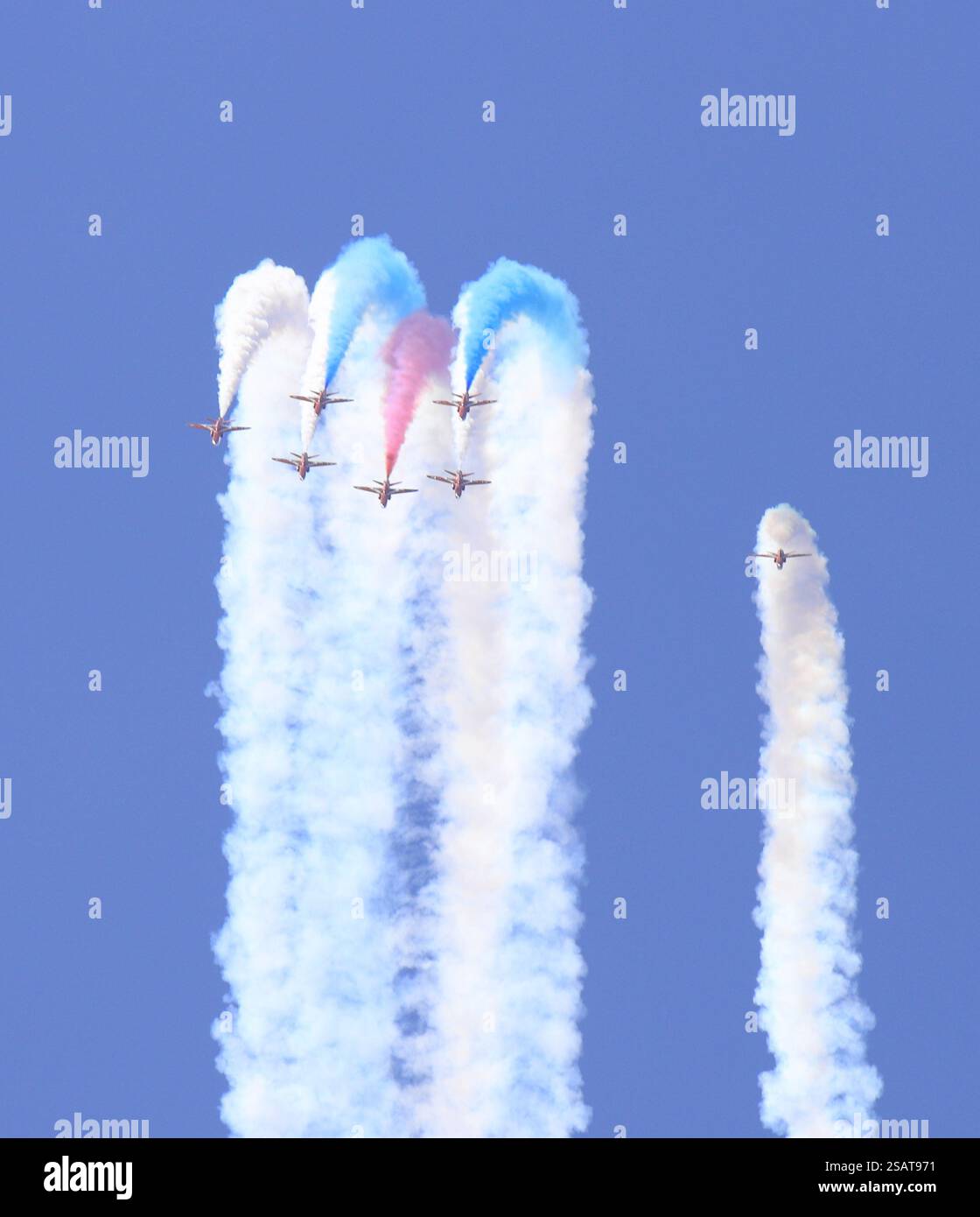 Form displays hi-res stock photography and images - Alamy