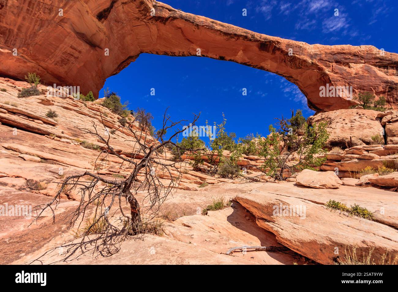 Natural Bridges National Monument is a U.S. National Monument located ...