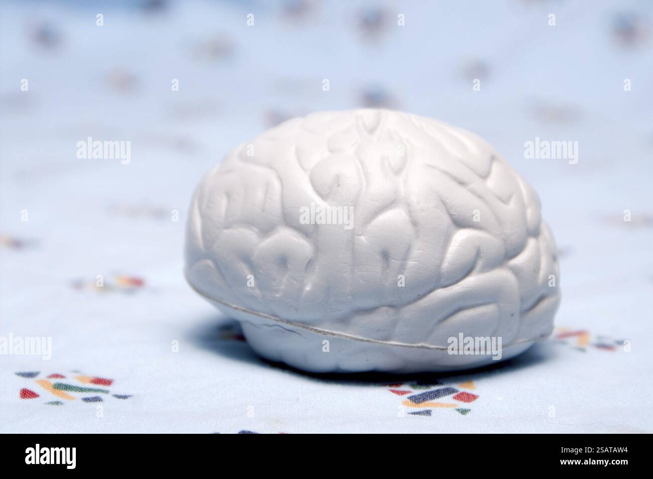 A rubber model of a brain on a hospital gown Stock Photo - Alamy