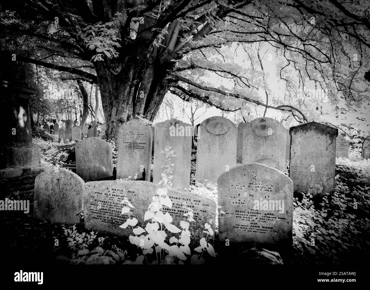 Uk cemeteries in black and white hi-res stock photography and images ...