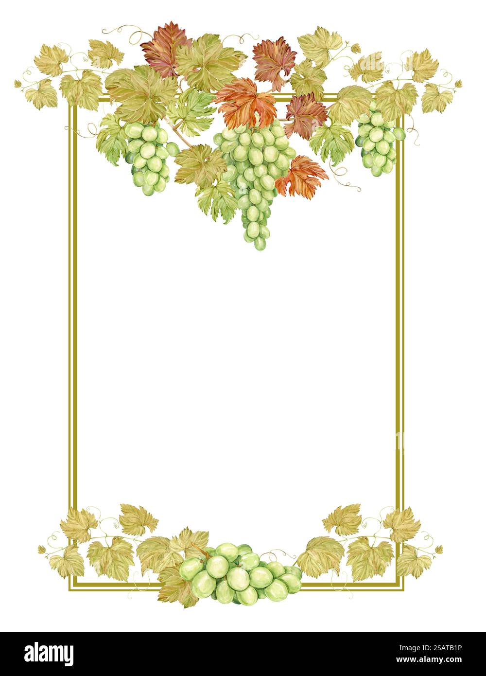 Watercolor vertical frame with grapes. Illustration of grapevine, green ...