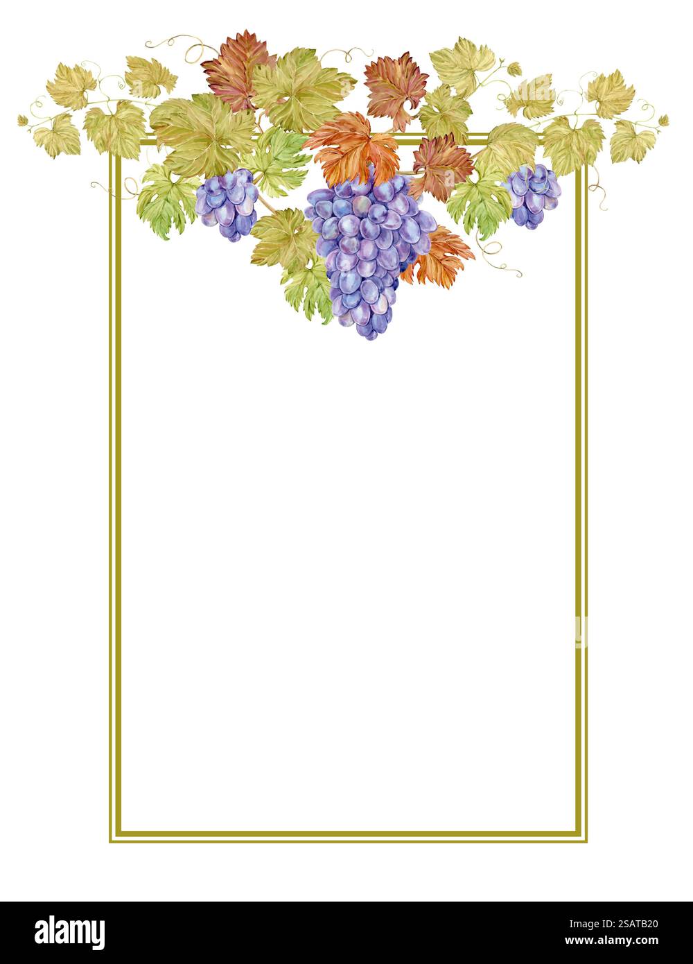 Watercolor vertical frame with grapes. Illustration of grapevine ...