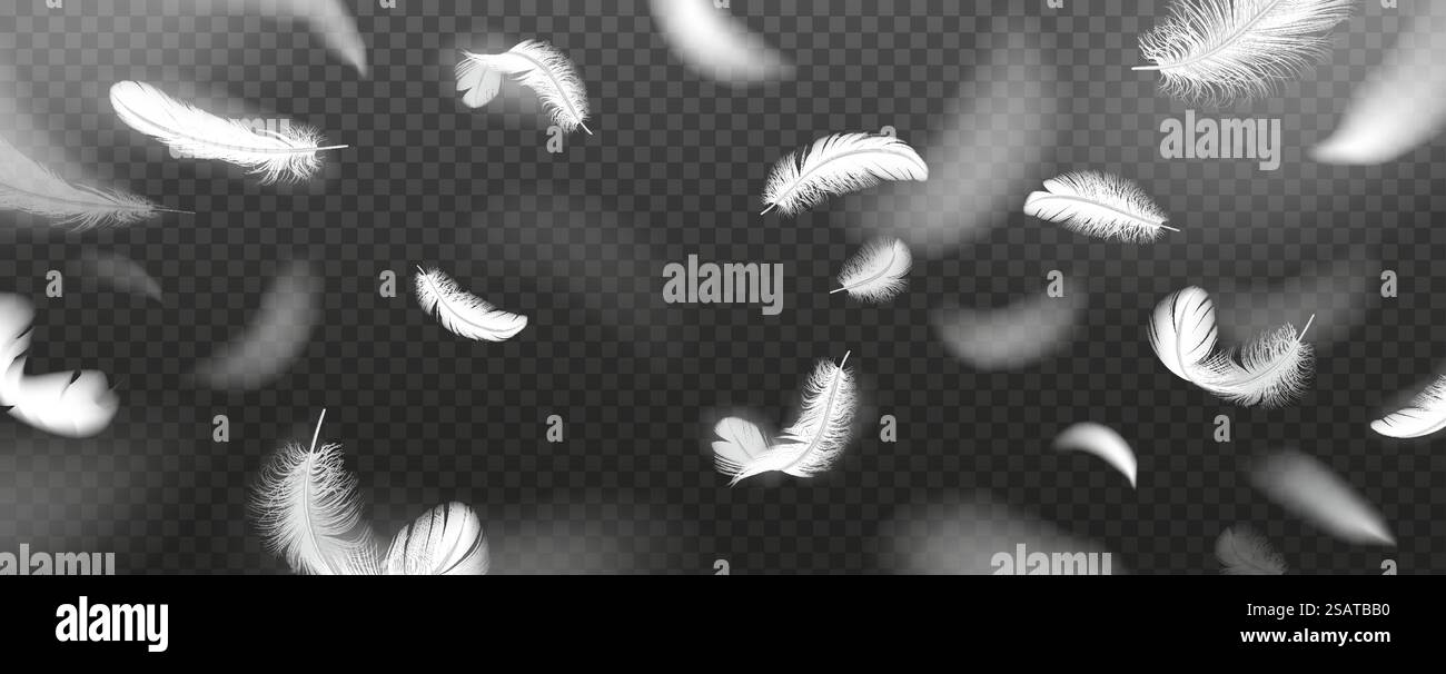 Floating feathers pattern realistic vector illustration. Elegant birds ...