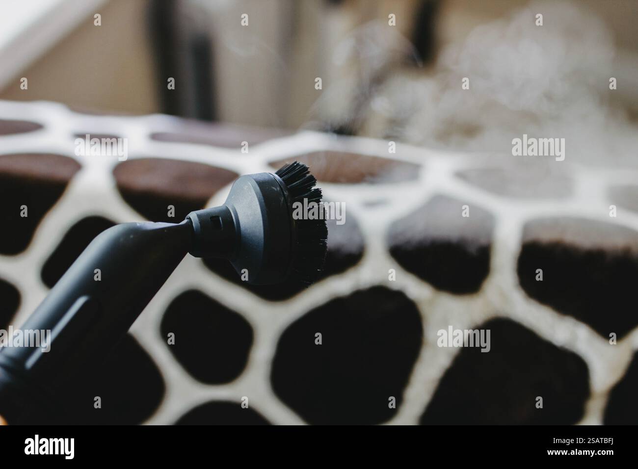Steam cleaner with a brush head focuses on giraffe-patterned upholstery ...
