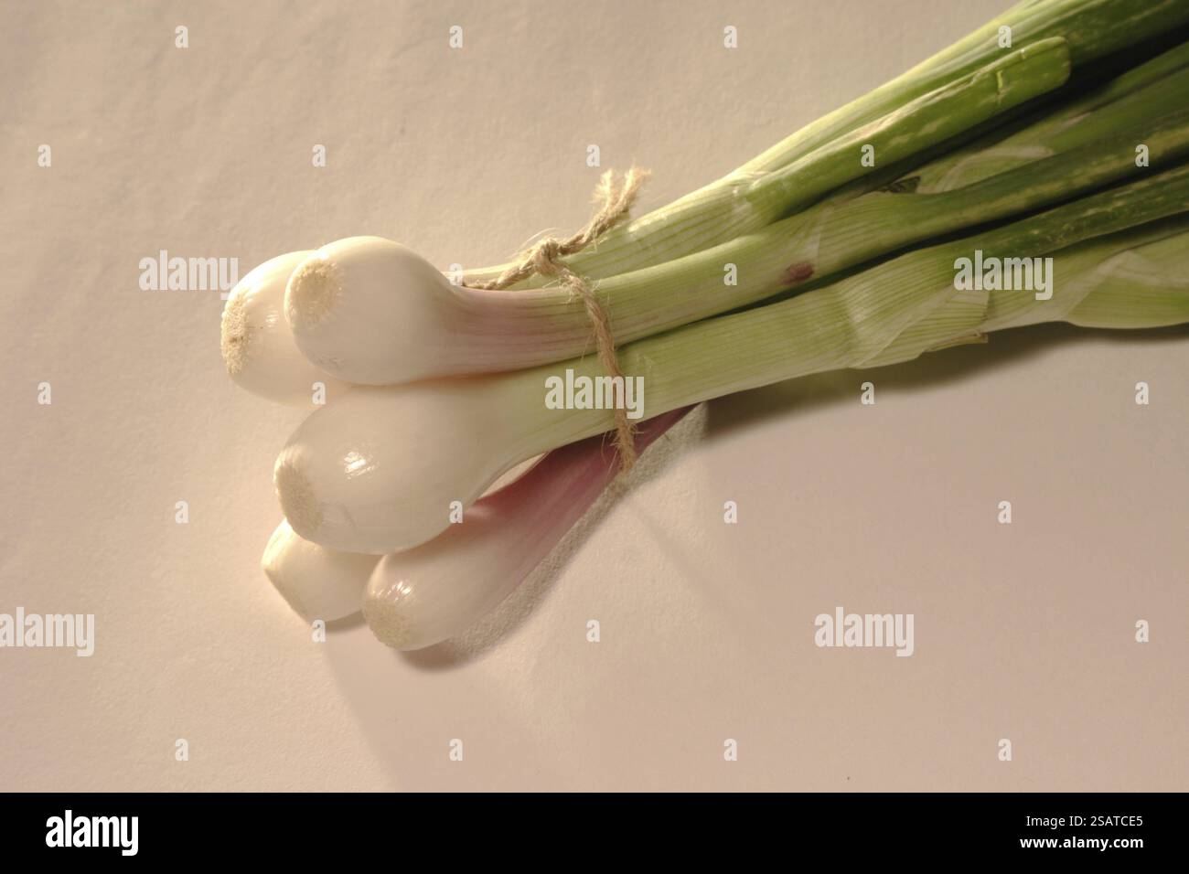 Indian Vegetable, Spring Onion, Allium Cepa Stock Photo - Alamy