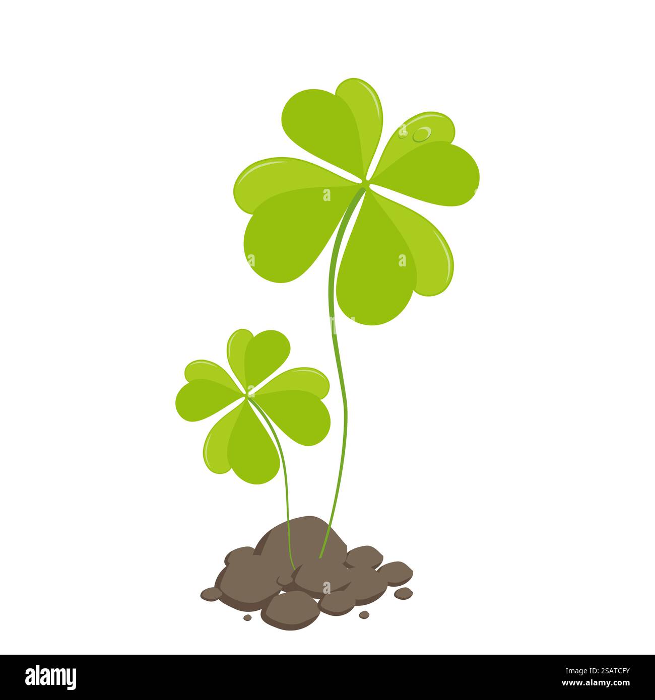 Clover plants sprout st patricks day. Vector illustration.. Clover ...
