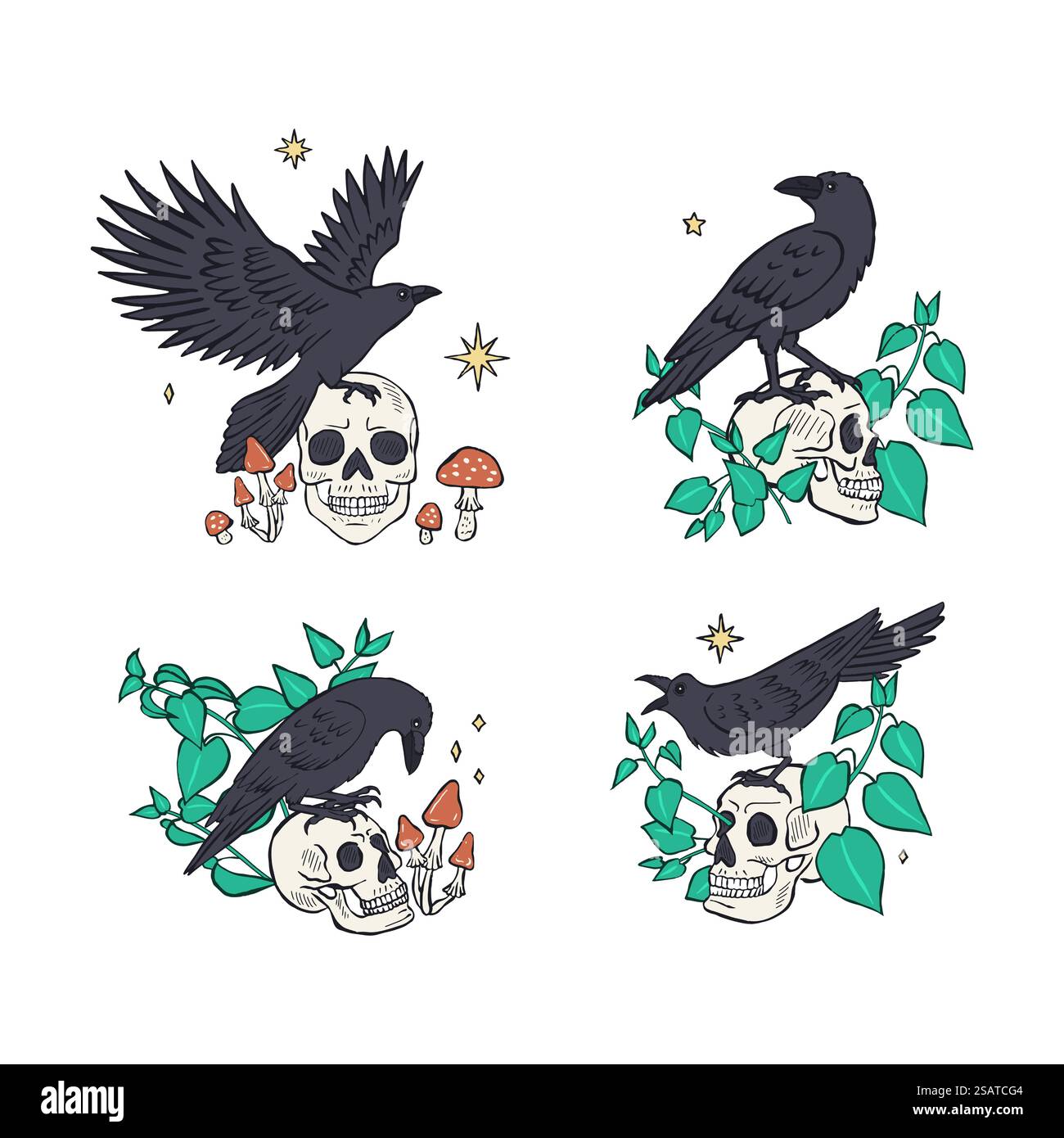 Hand drawn inky sketch style ravens or crows sitting on human skulls ...