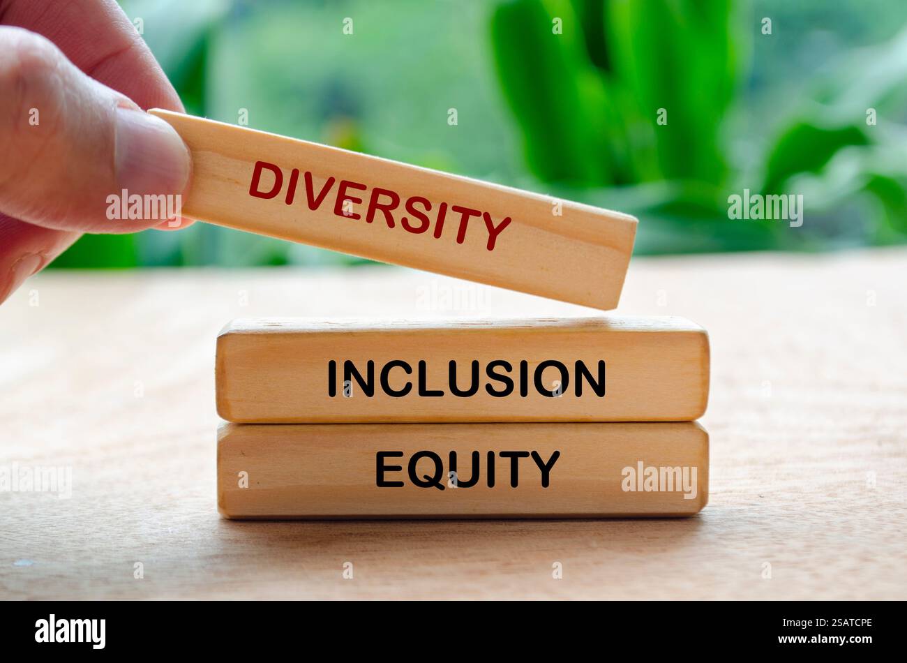 Diversity, Inclusion and Equity text on wooden blocks. D and I concept ...