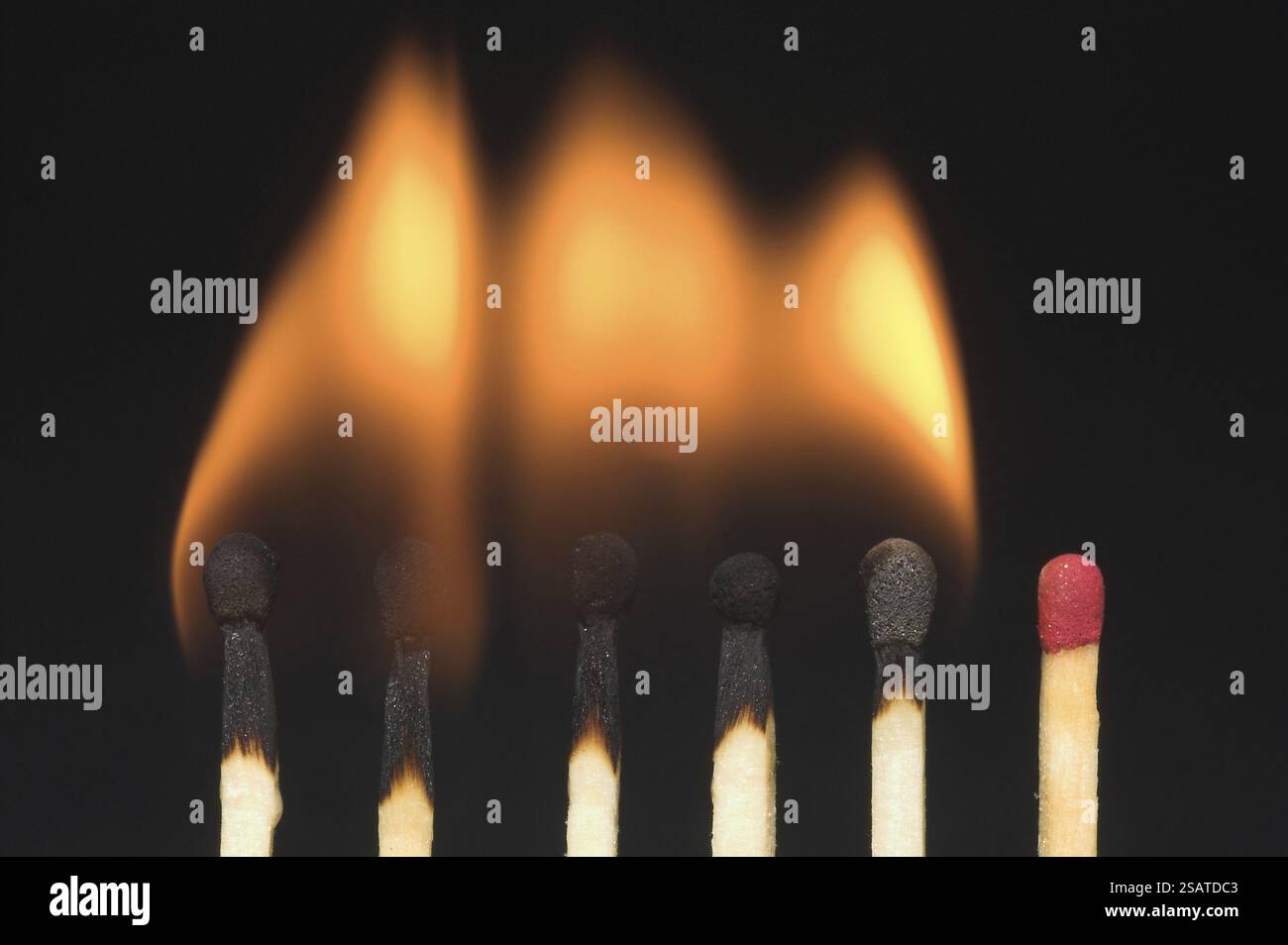 One lone match standing up for what he believes in Stock Photo - Alamy