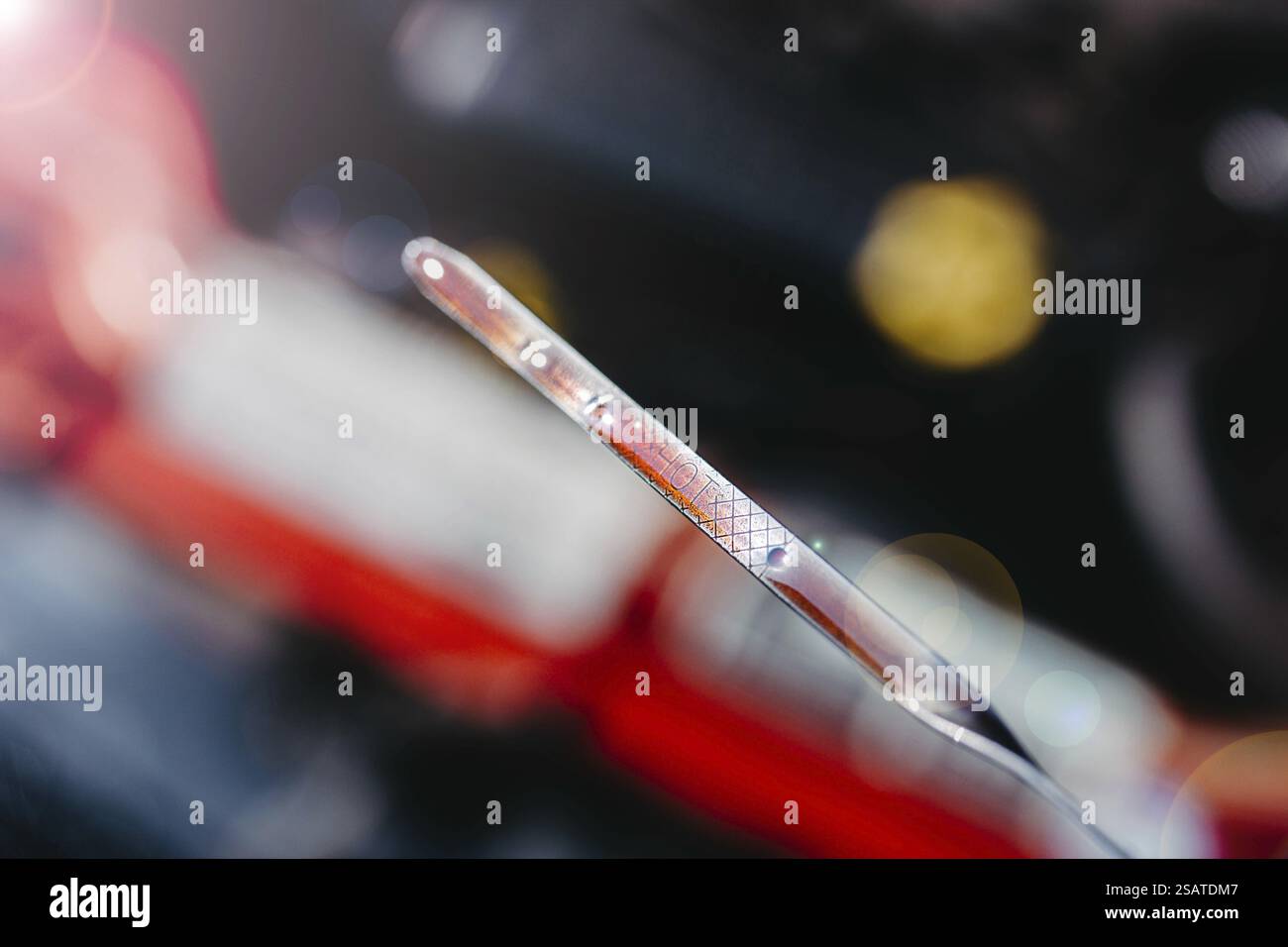 Close-up of a oil dipstick showing oil level, used in checking vehicle engine oil levels Stock ...