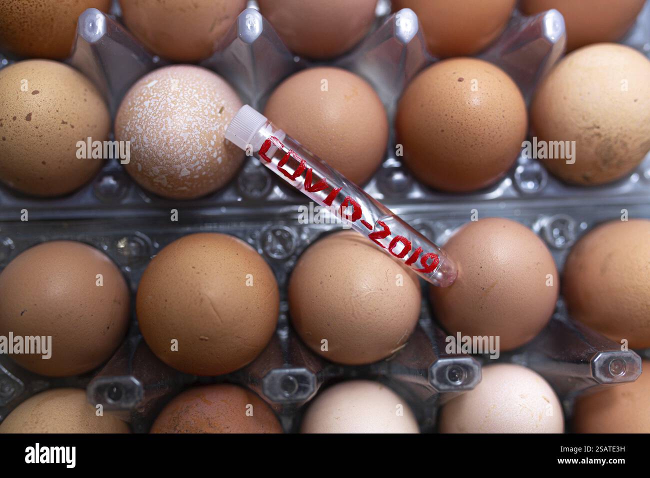 A test tube labeled COVID-19 rests on eggs in an egg carton Stock Photo ...