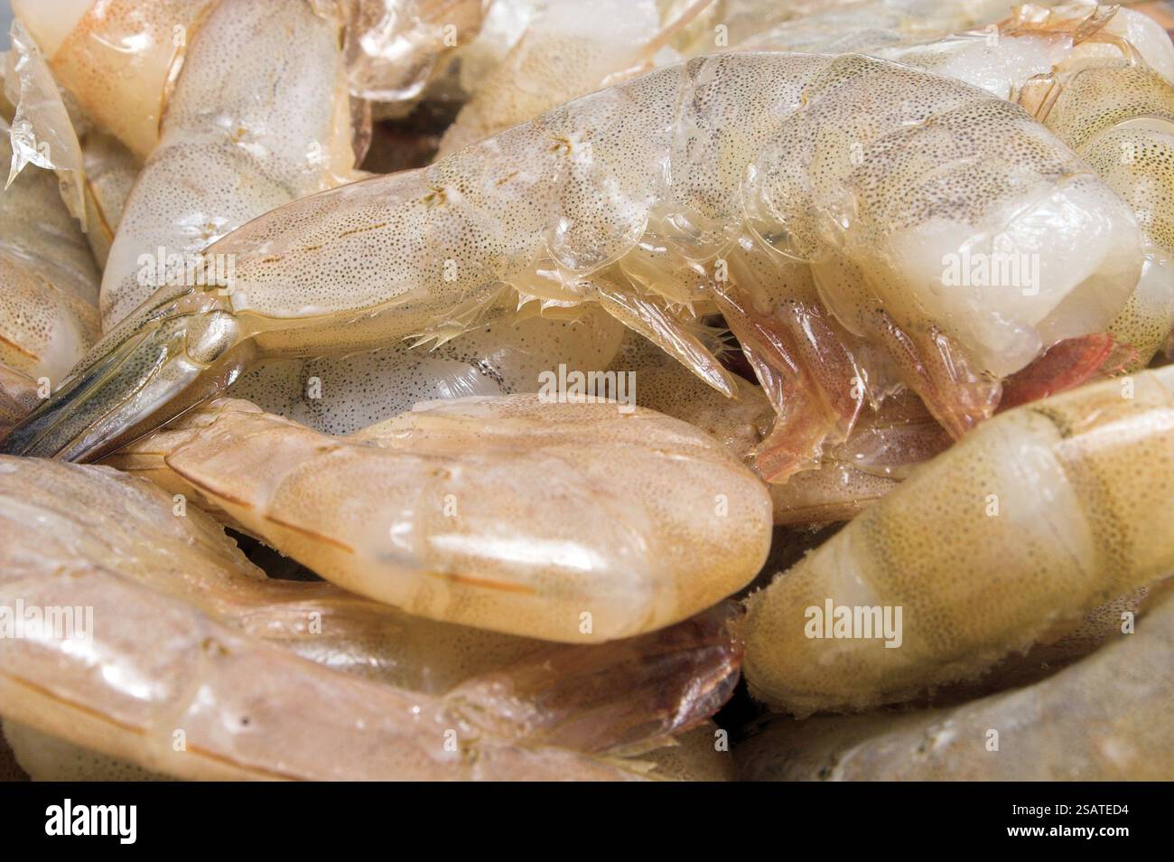 A large pile of headless shrimp ready to be cleaned Stock Photo - Alamy