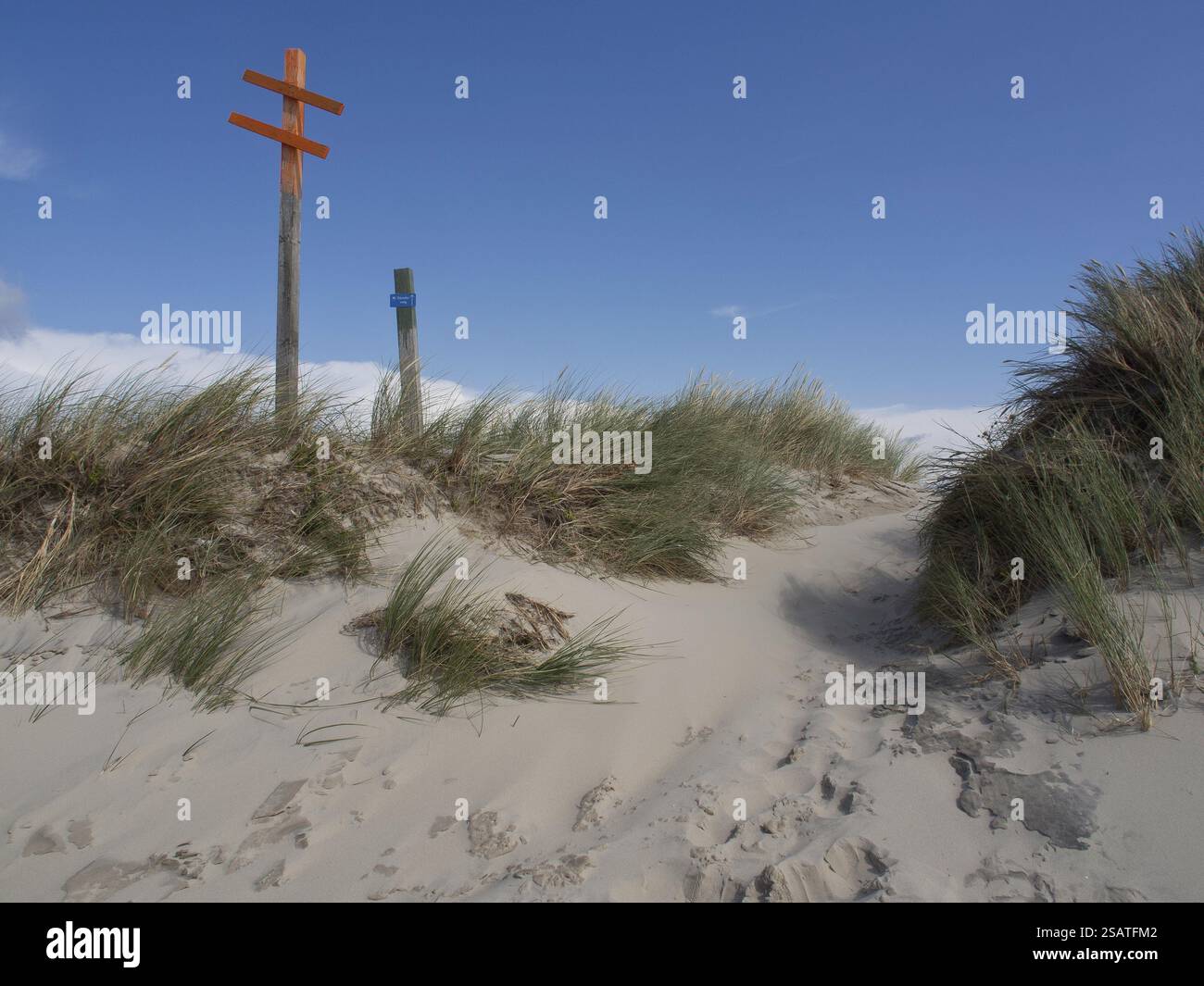 Sandy path between grass dunes with colourful markings, spiekeroog ...