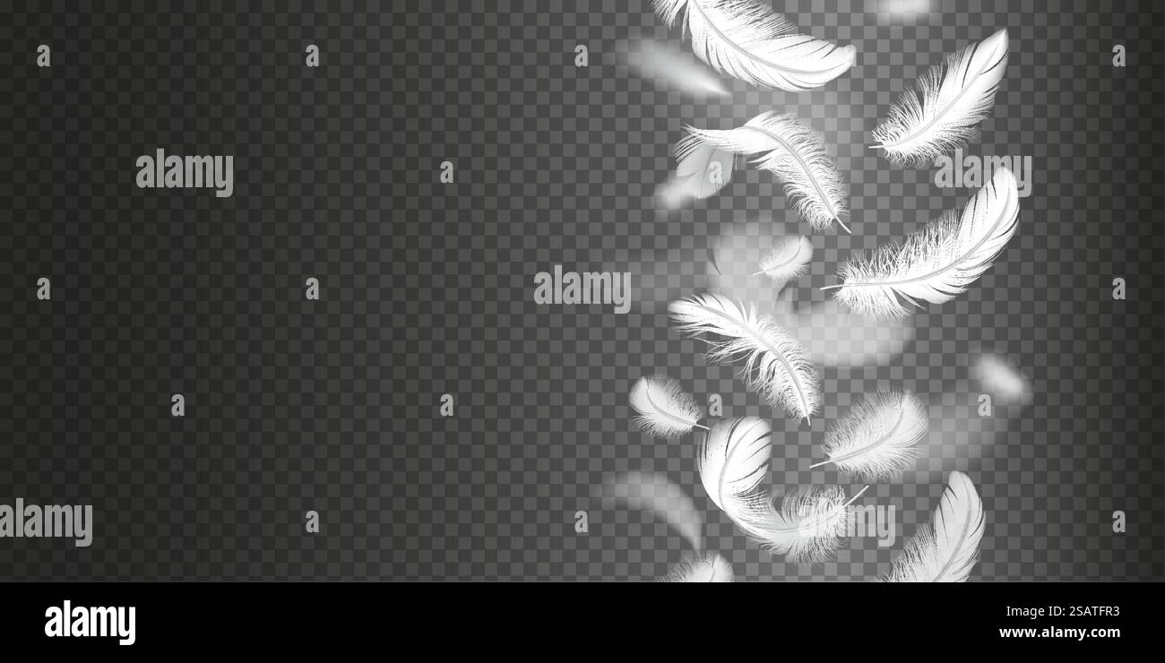 Feathers border column realistic vector illustration. Frame of white ...