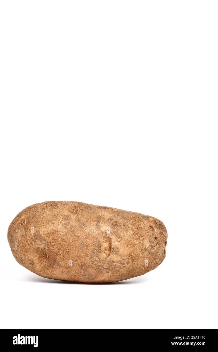 Food delicious no baked Cut Out Stock Images & Pictures - Alamy