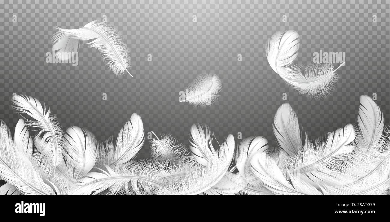 White Feather Falling