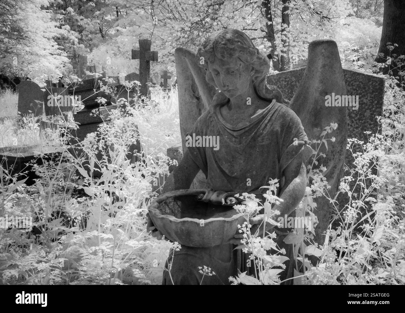 Single person in cemetery Black and White Stock Photos & Images - Alamy