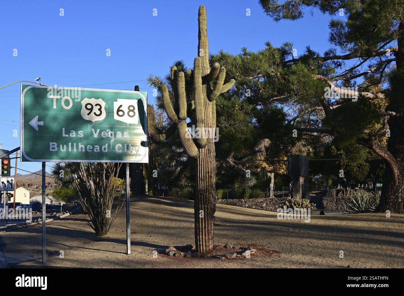 Road sign to Las Vegas and Bullhead City next to a cactus, Kingman ...