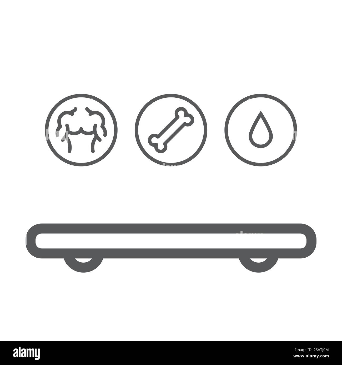 Smart scale weight fat bones water icons. Vector illustration.. Smart ...