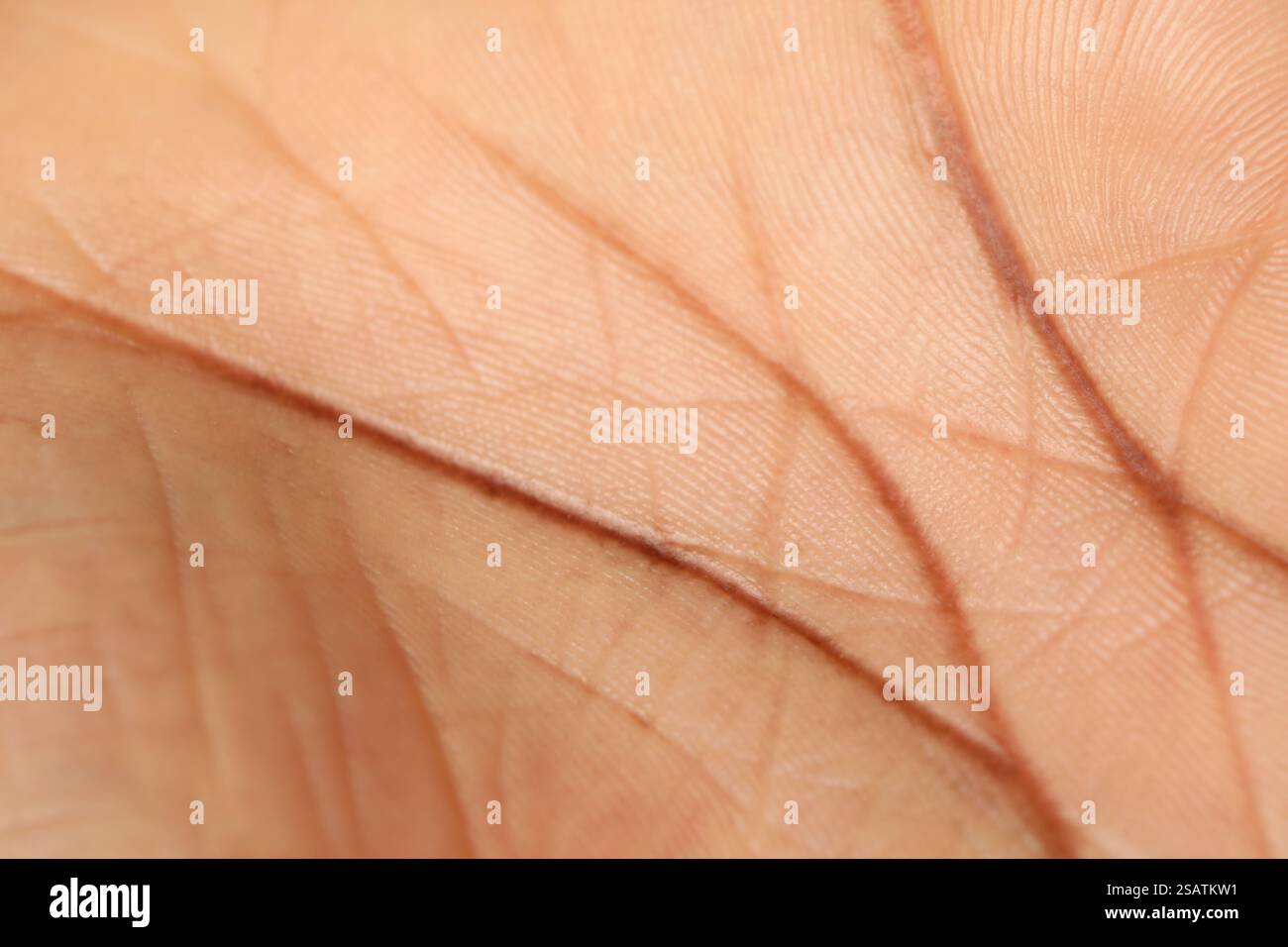 Macro view of normal skin as background Stock Photo - Alamy