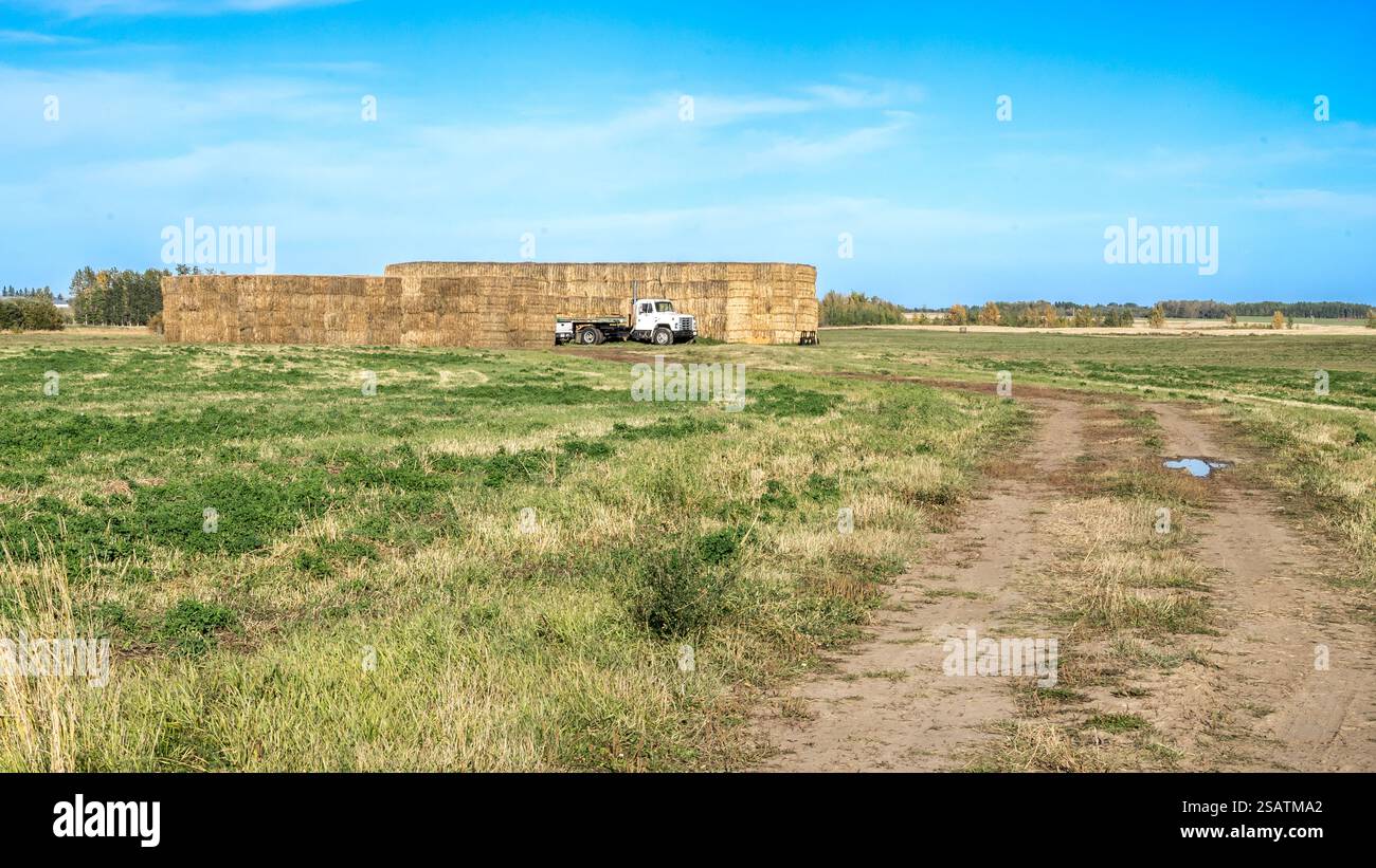 Square bails hi-res stock photography and images - Alamy