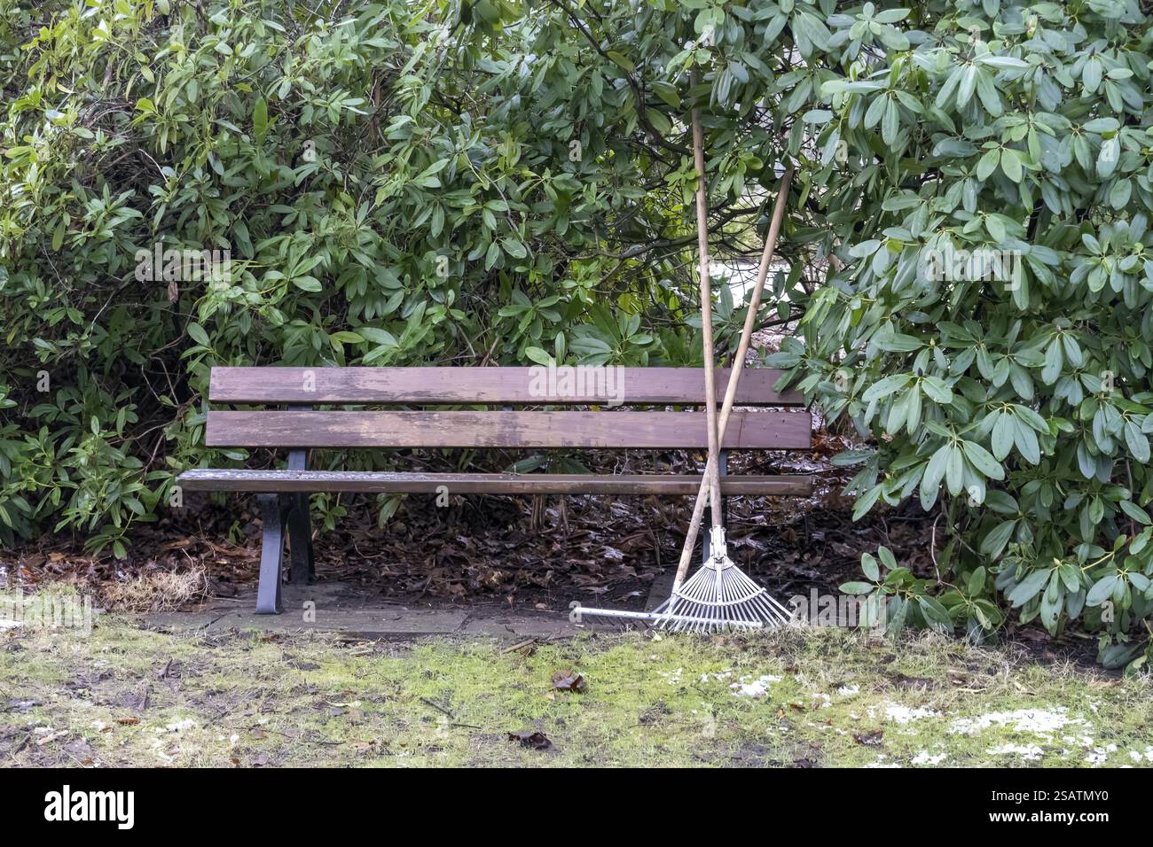 Rake and broom leaning against a bench in a park after gardening work ...