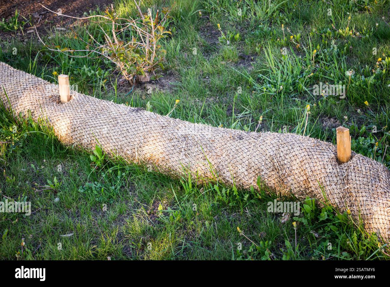 Biodegradable Erosion Control straw sock guard fixed on property slope ...