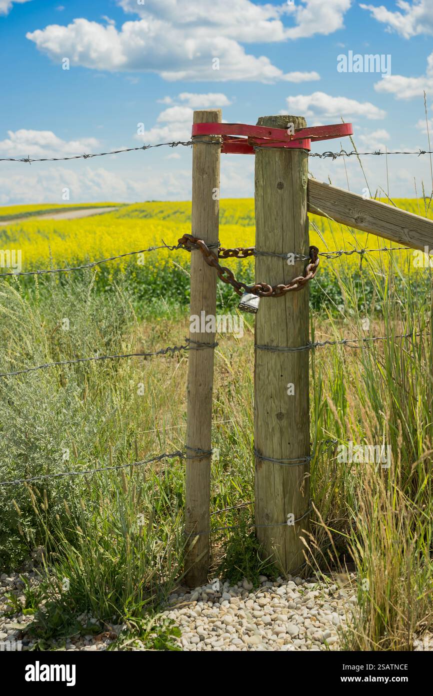 Field farm gate closed and locked with wire, lock,chain and pull system ...
