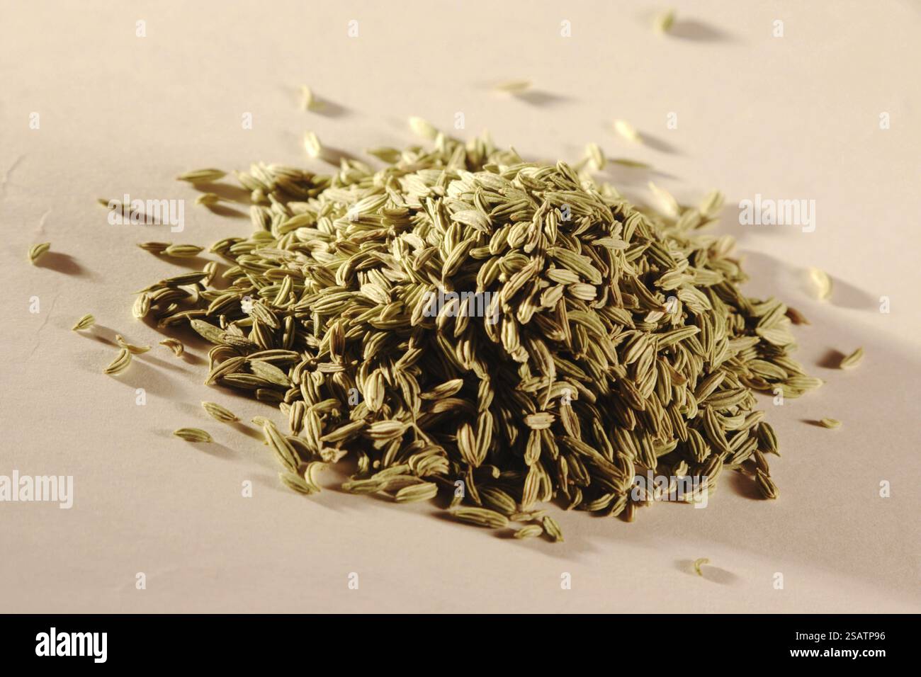 Indian Spices, Saunf, Fennel Seeds, Foeniculum Vulgare Stock Photo - Alamy