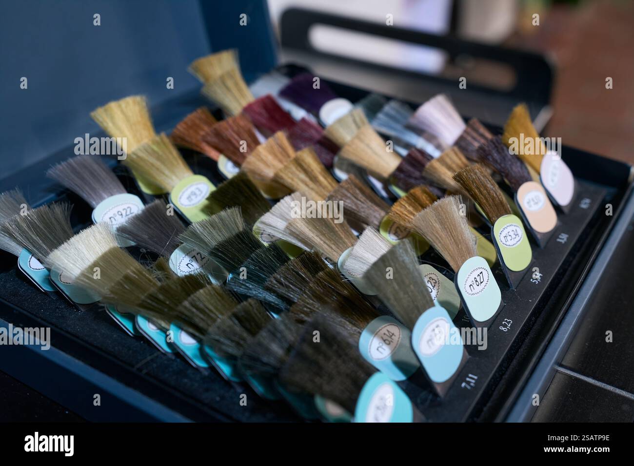 Hairdresser choosing hair color samples for young female model Stock ...
