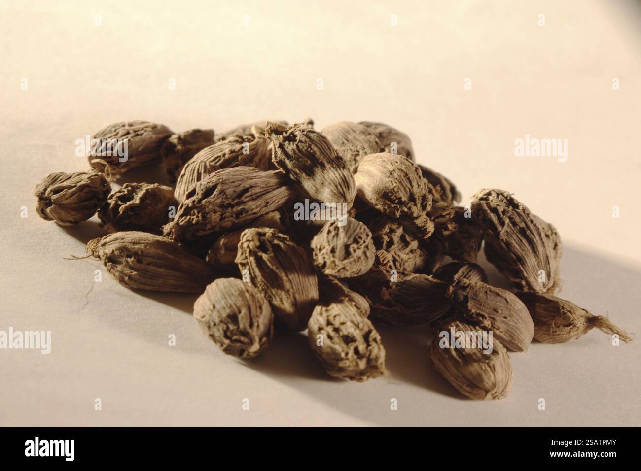 Indian Spices, Elaichi, Brown Cardamom Pods, Elettaria Cardamom Stock ...